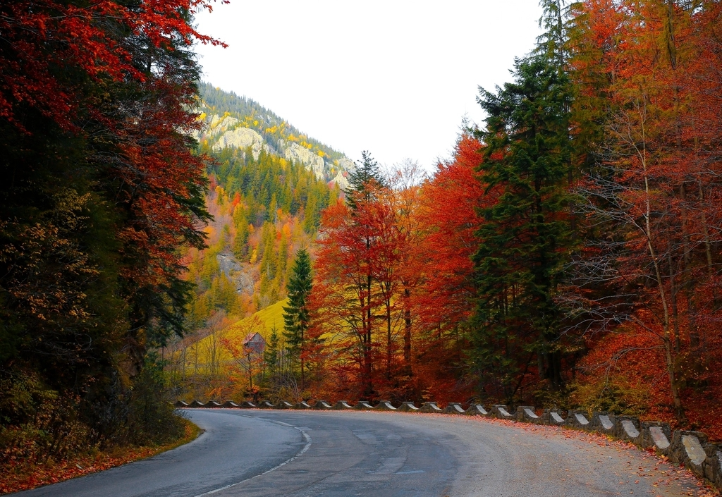 FALL REFRESH – CL Designs